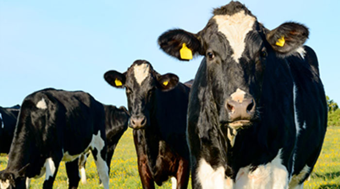 home-ag | Axiom Marketing