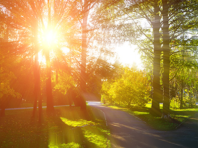 WT_Outdoors_Sunshine_Park | Axiom Marketing